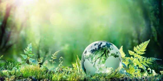 Duurzame toekomst en samenleving: bereid je voor op de ESG rapportage – GAC